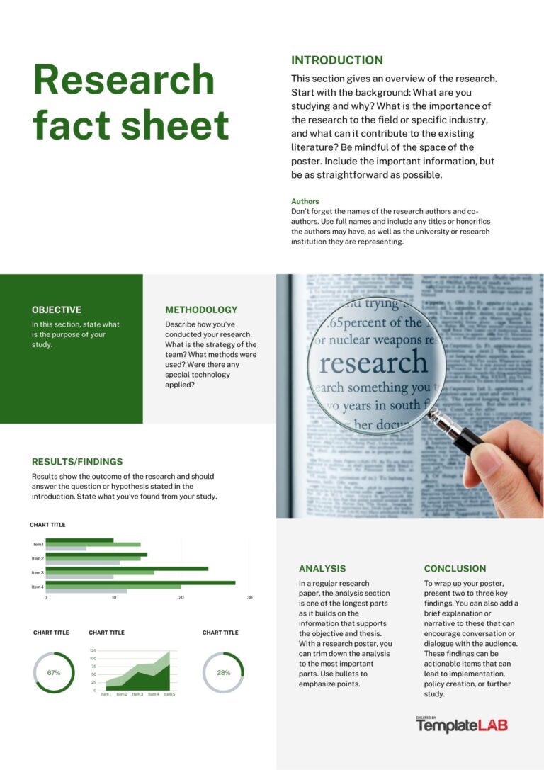 2 Page Fact Sheet Template