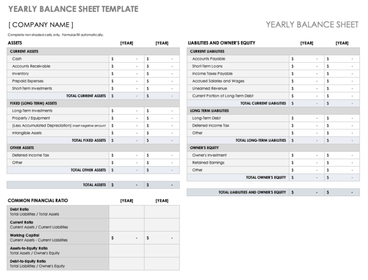 Business Plan Balance Sheet Template