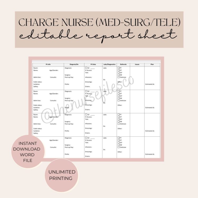 Nursing Assistant Assignment Sheet Template