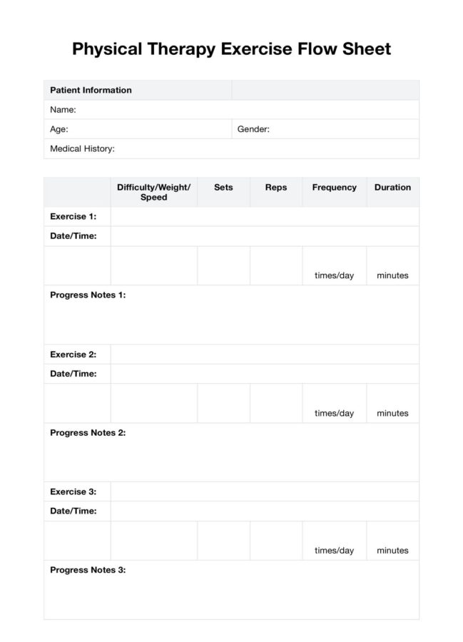 Physical Therapy Flow Sheet Template