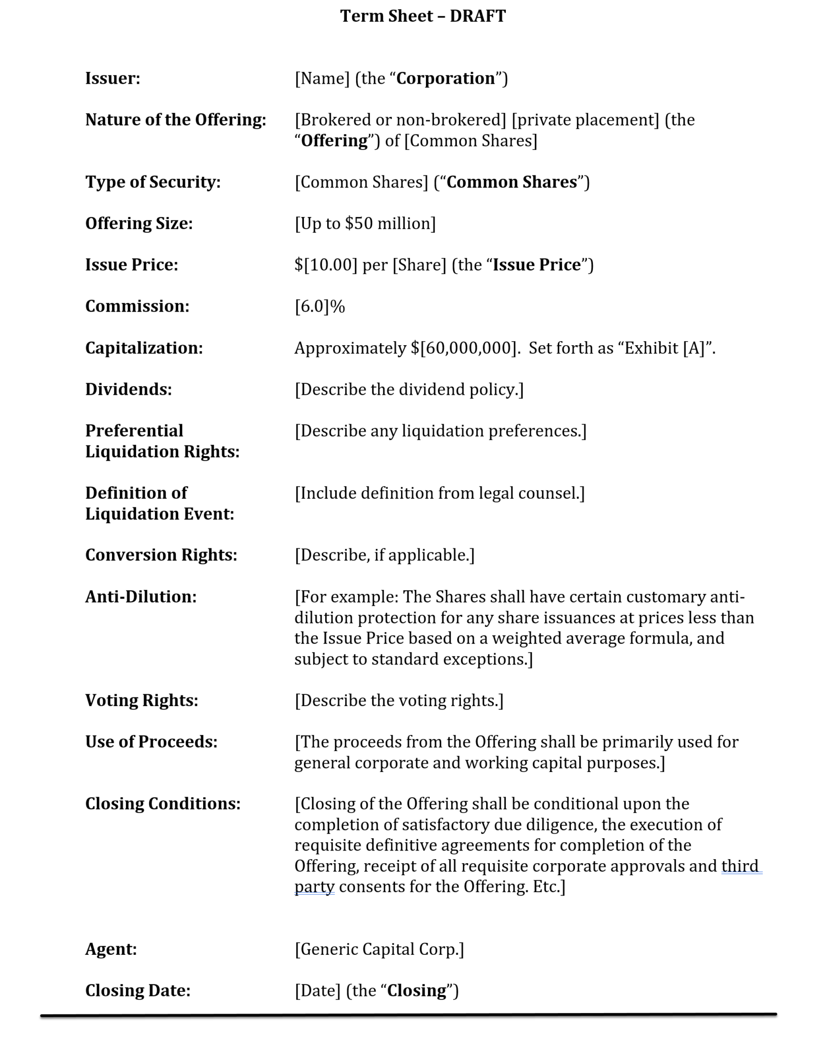 Seed Round Term Sheet Template