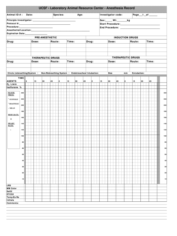 Veterinary Hospitalization Treatment Sheet Template