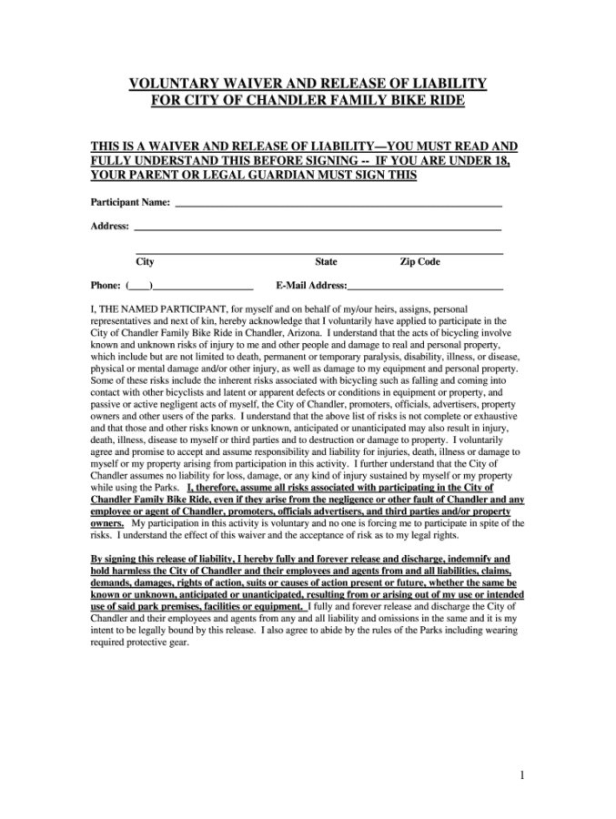 Generic Activity Waiver Form Template